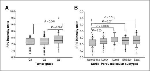 IRP2 Regulates Breast Tumor Growth | Cancer Research | American ...
