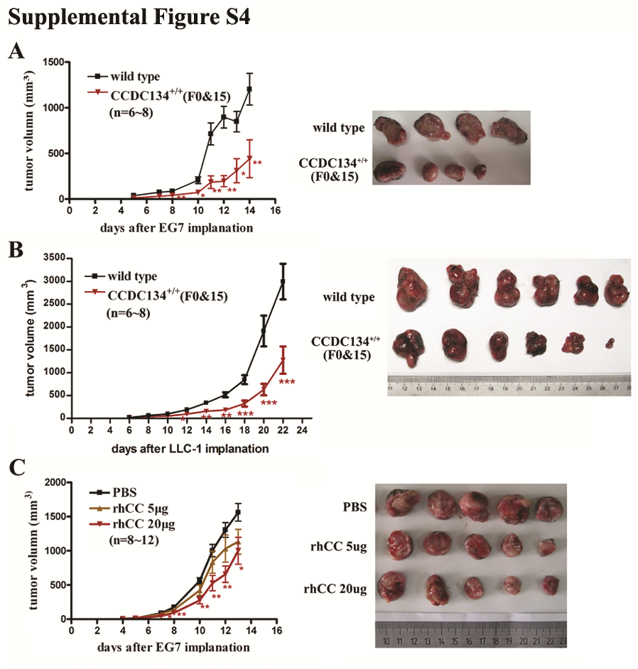 Cytokine-like Molecule CCDC134 Contributes to CD8+ T-cell Effector ...