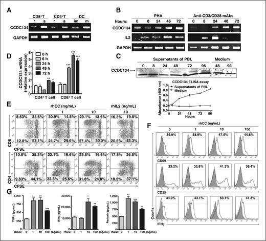 Cytokine-like Molecule CCDC134 Contributes to CD8+ T-cell Effector ...