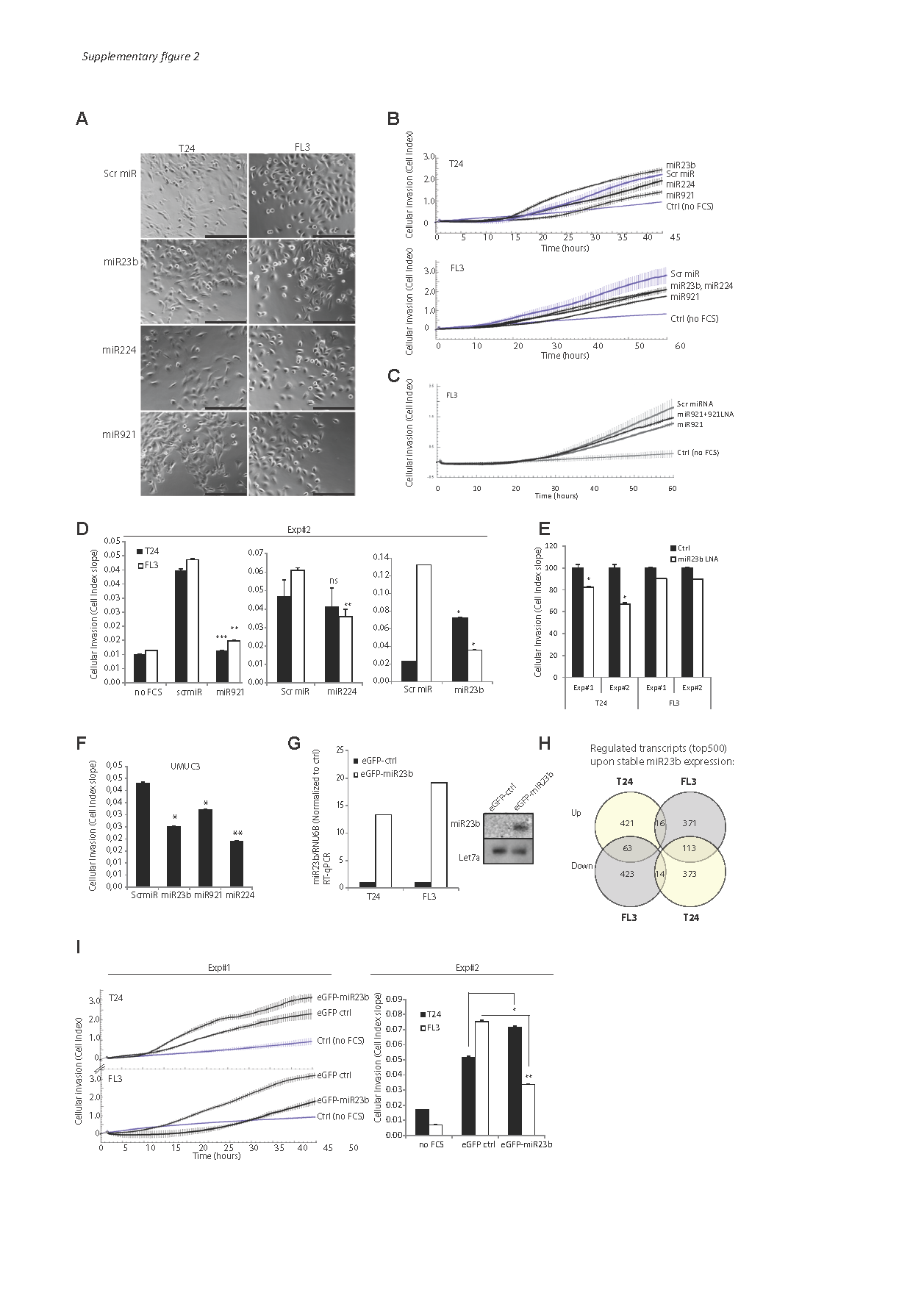 Cellular Disposal of miR23b by RAB27-Dependent Exosome Release Is ...