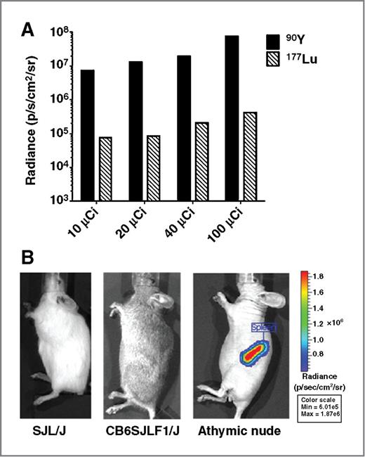 In Vivo Localization of 90Y and 177Lu Radioimmunoconjugates Using ...