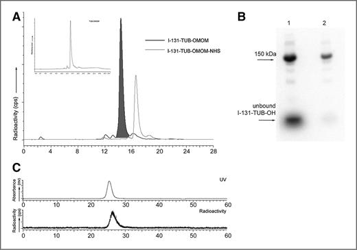 Development of Novel ADCs: Conjugation of Tubulysin Analogues to ...
