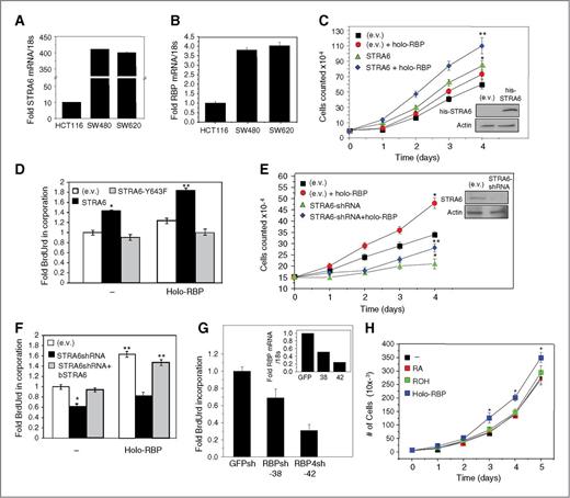 Holo-Retinol–Binding Protein and Its Receptor STRA6 Drive Oncogenic ...