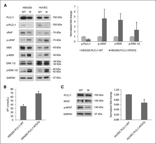 A Recurrent Activating PLCG1 Mutation in Cardiac Angiosarcomas ...