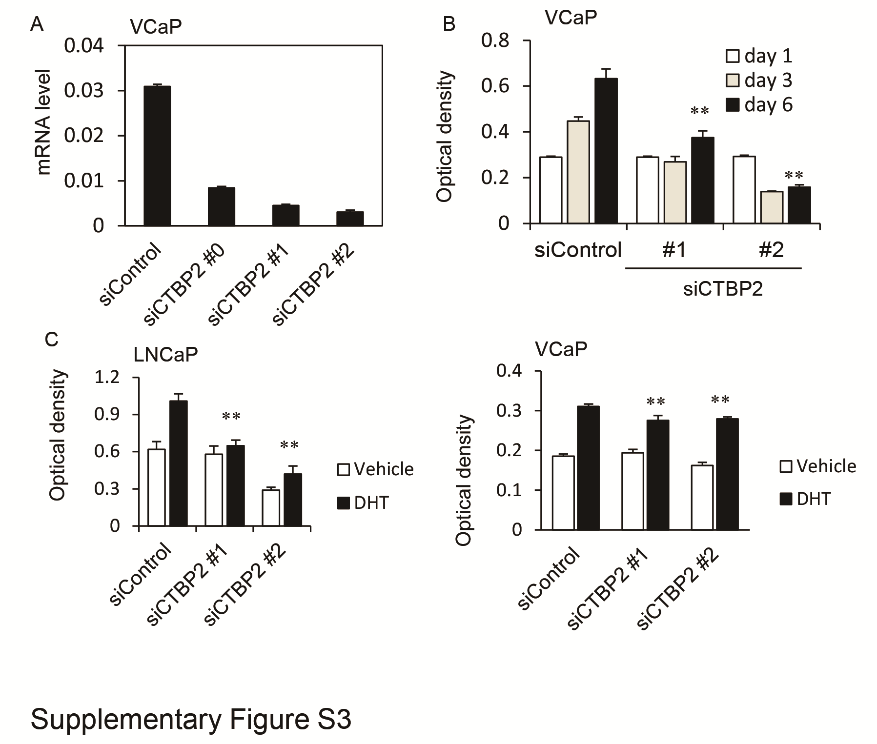 CtBP2 Modulates the Androgen Receptor to Promote Prostate Cancer ...