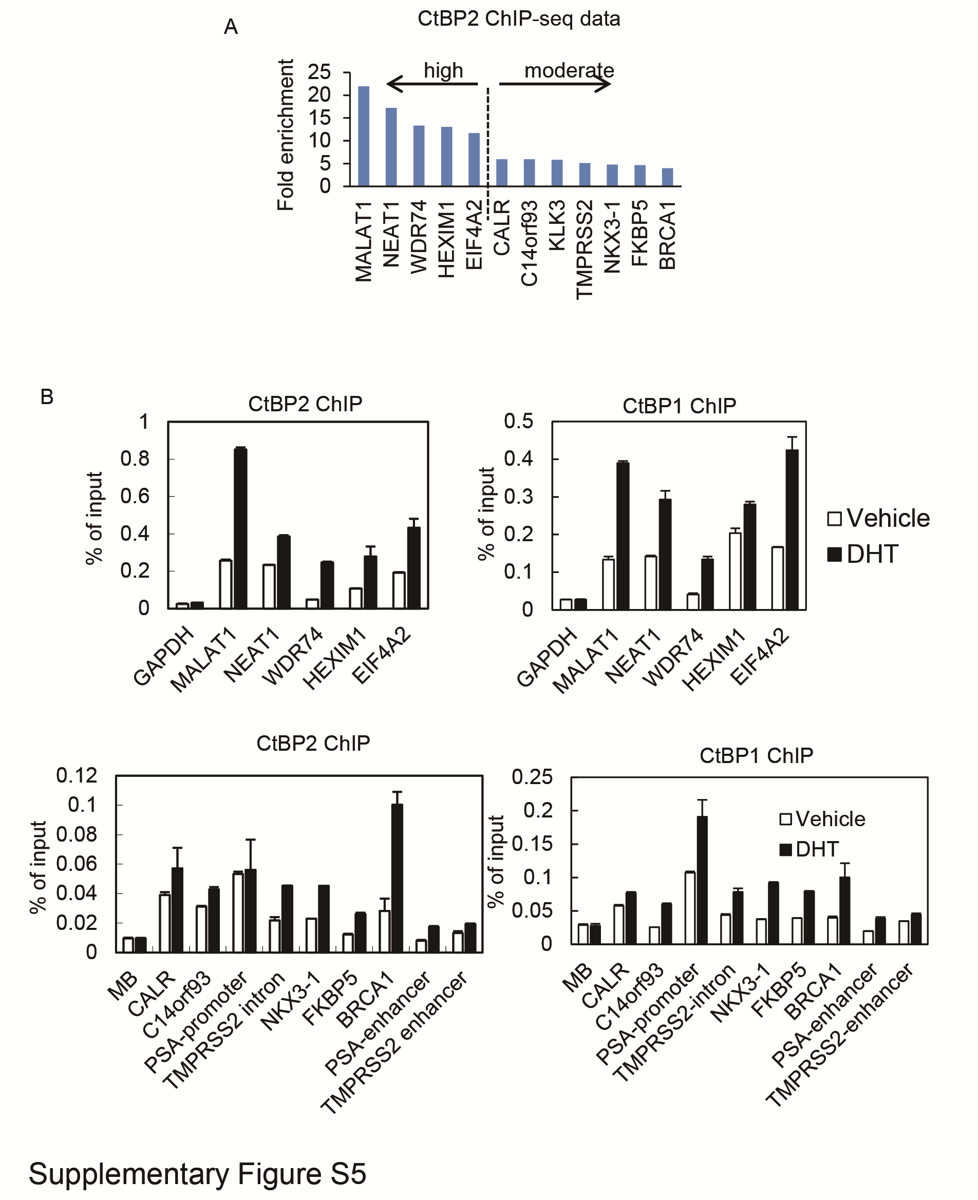 CtBP2 Modulates the Androgen Receptor to Promote Prostate Cancer ...