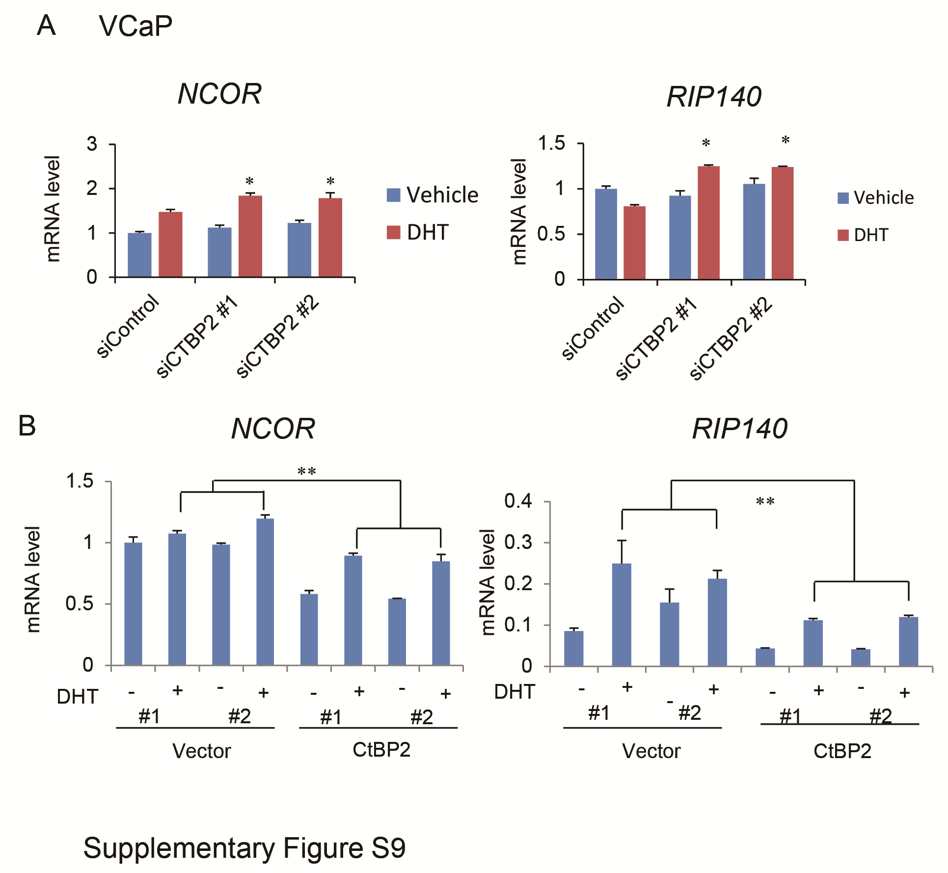 CtBP2 Modulates the Androgen Receptor to Promote Prostate Cancer ...