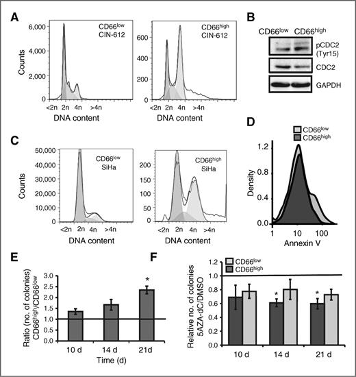 CD66+ Cells in Cervical Precancers Are Partially Differentiated ...