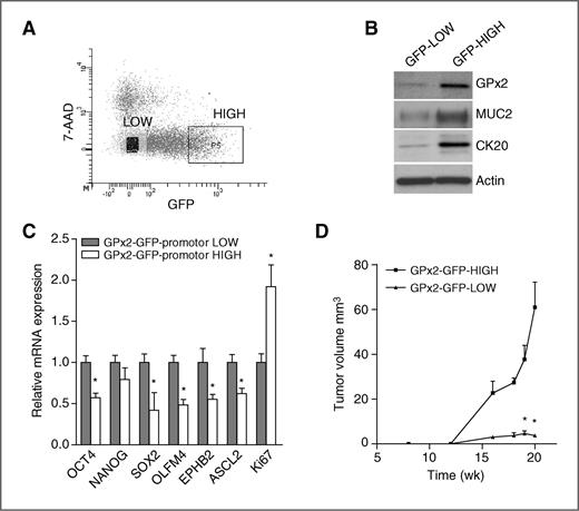 GPx2 Suppression of H2O2 Stress Links the Formation of Differentiated ...
