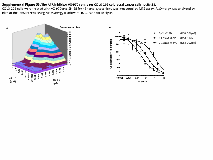 ATR Inhibitors VE-821 and VX-970 Sensitize Cancer Cells to ...