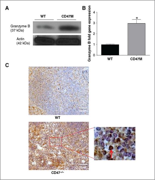 CD47 in the Tumor Microenvironment Limits Cooperation between Antitumor ...