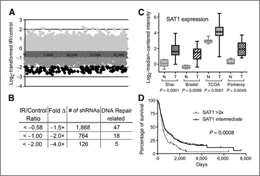 The Polyamine Catabolic Enzyme SAT1 Modulates Tumorigenesis and ...