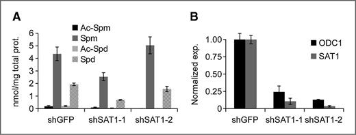 The Polyamine Catabolic Enzyme SAT1 Modulates Tumorigenesis and ...