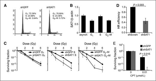 The Polyamine Catabolic Enzyme SAT1 Modulates Tumorigenesis and ...