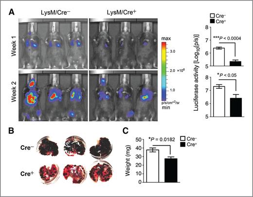 Myeloid Expression of Adenosine A2A Receptor Suppresses T and NK Cell ...