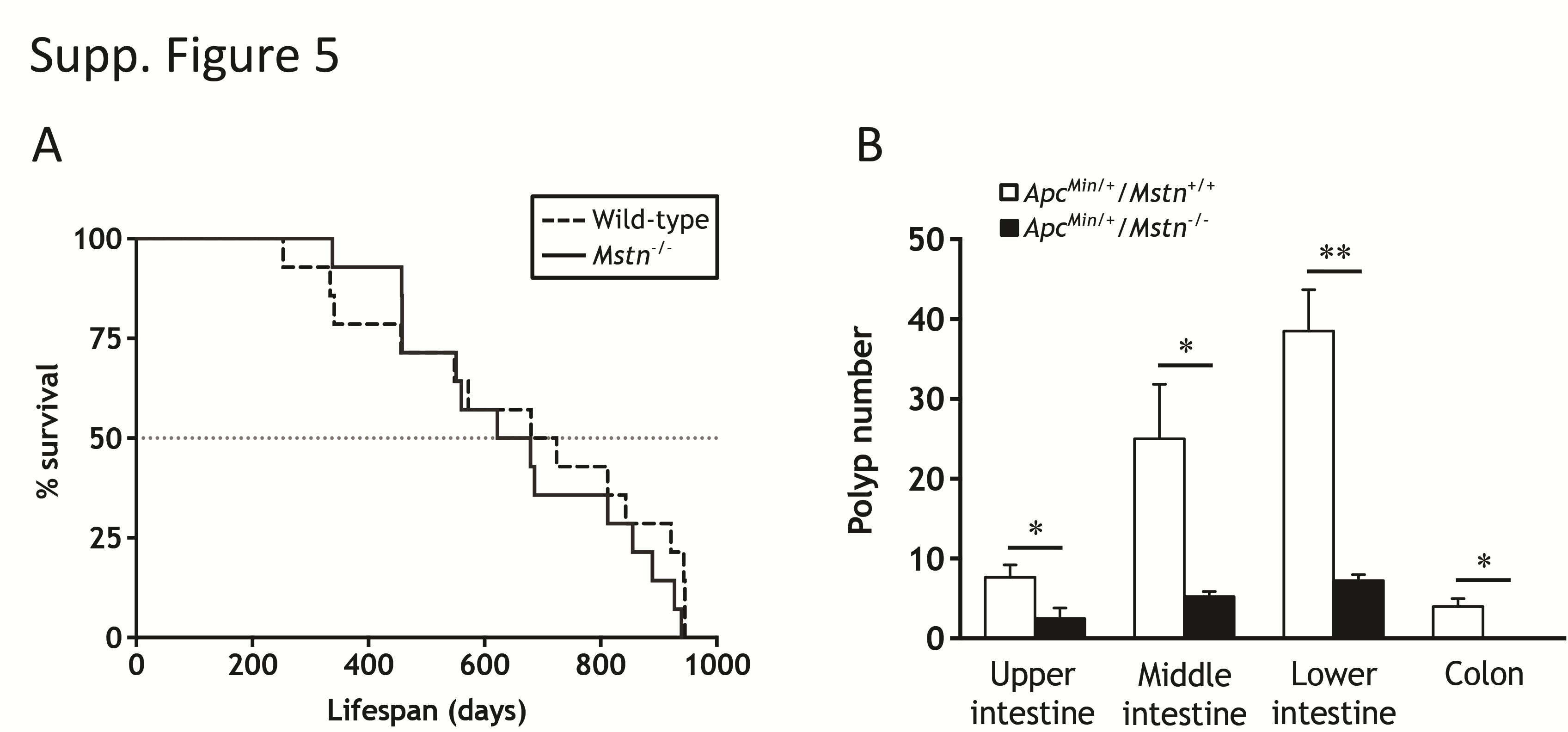 Myostatin Gene Inactivation Prevents Skeletal Muscle Wasting in Cancer ...