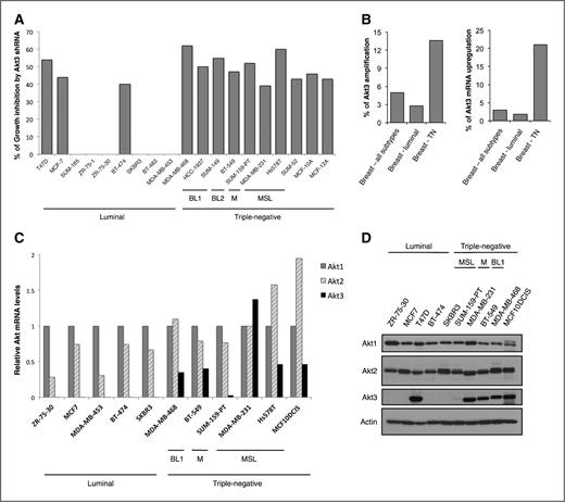Targeting Akt3 Signaling in Triple-Negative Breast Cancer | Cancer ...