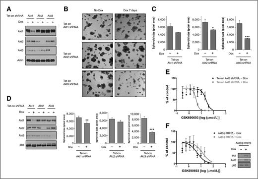 Targeting Akt3 Signaling in Triple-Negative Breast Cancer | Cancer ...