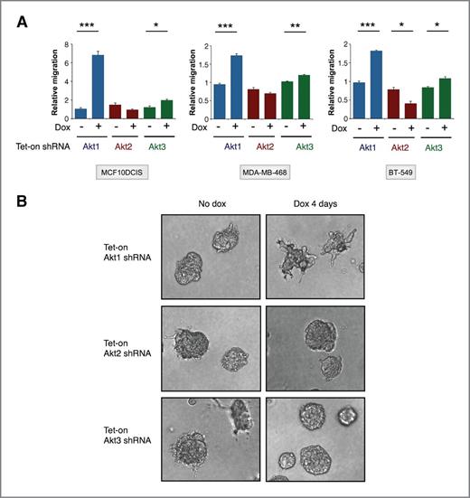 Targeting Akt3 Signaling in Triple-Negative Breast Cancer | Cancer ...