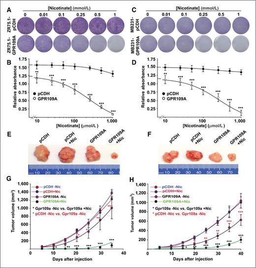 The Niacin/Butyrate Receptor GPR109A Suppresses Mammary Tumorigenesis ...