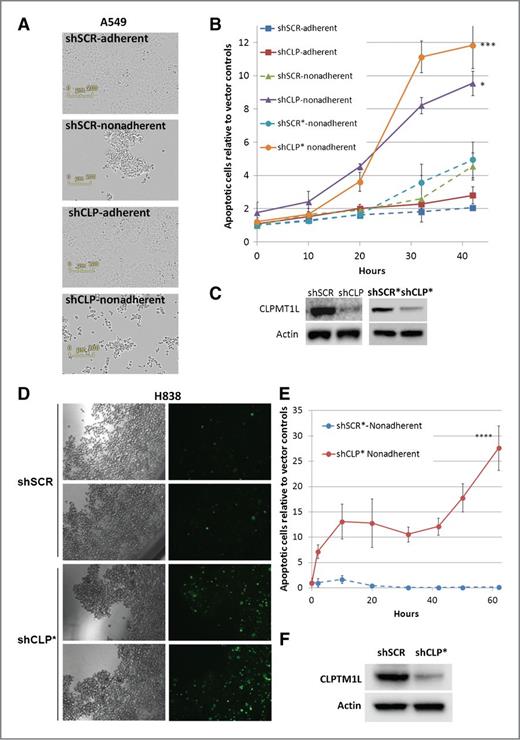 CRR9/CLPTM1L Regulates Cell Survival Signaling and Is Required for Ras ...