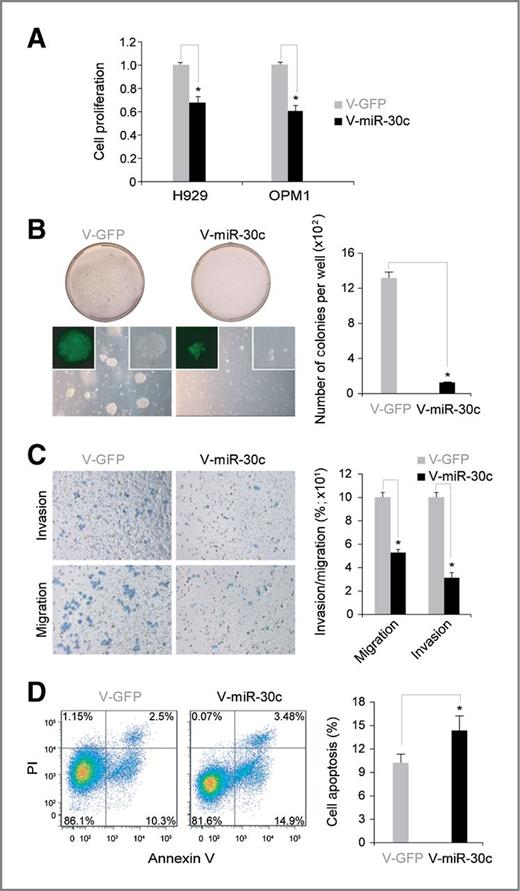 miR-30-5p Functions as a Tumor Suppressor and Novel Therapeutic Tool by ...
