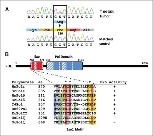 A Common Cancer-Associated DNA Polymerase ϵ Mutation Causes an ...