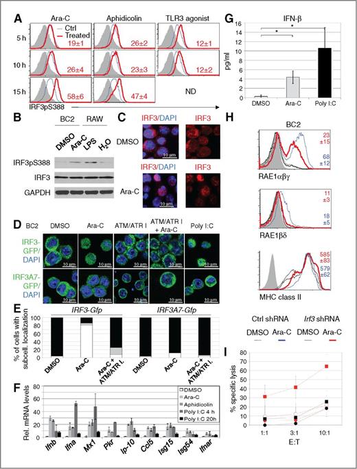 RAE1 Ligands for the NKG2D Receptor Are Regulated by STING-Dependent ...