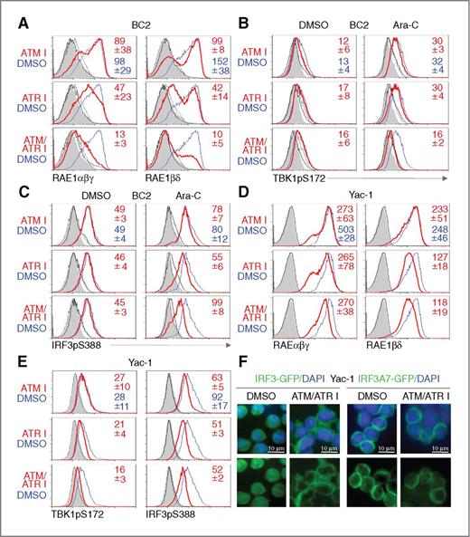 RAE1 Ligands for the NKG2D Receptor Are Regulated by STING-Dependent ...