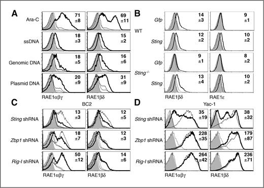 RAE1 Ligands for the NKG2D Receptor Are Regulated by STING-Dependent ...
