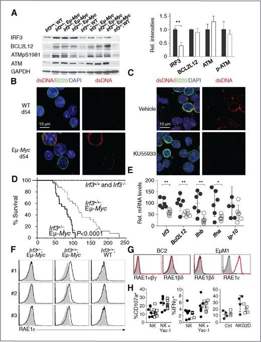 RAE1 Ligands for the NKG2D Receptor Are Regulated by STING-Dependent ...