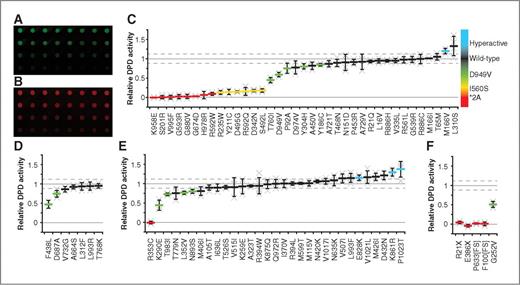 Comparative Functional Analysis of DPYD Variants of Potential Clinical ...