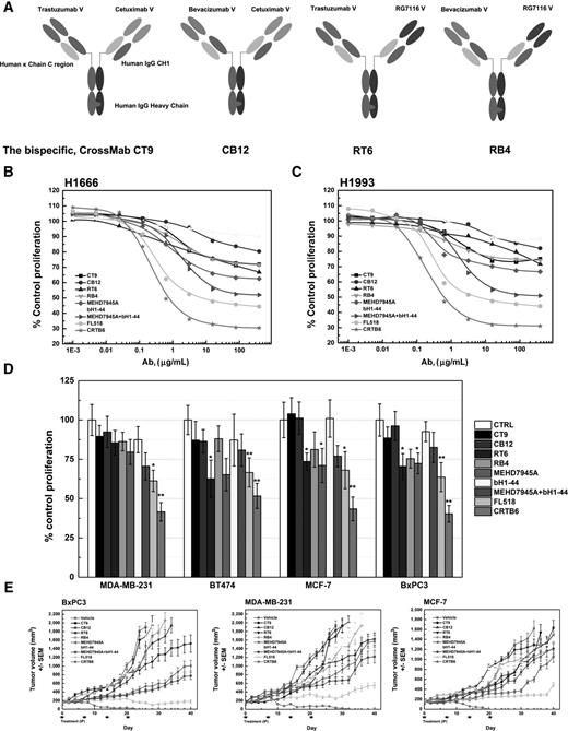 Four-in-One Antibodies Have Superior Cancer Inhibitory Activity against ...