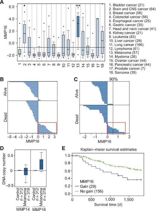 MMP16 Mediates a Proteolytic Switch to Promote Cell–Cell Adhesion ...