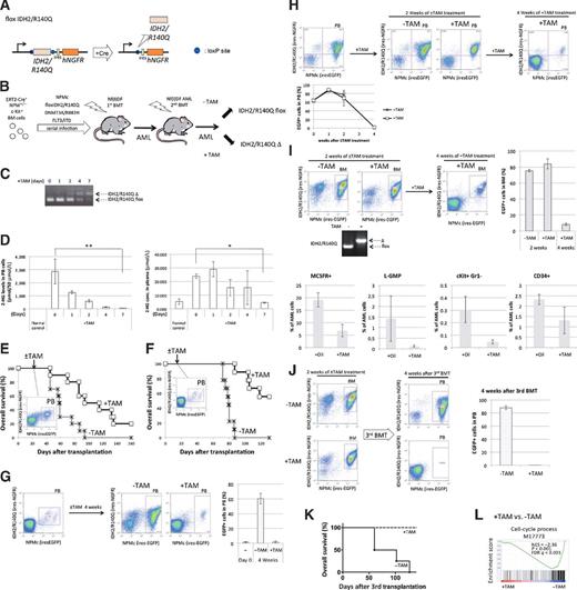 IDH2 and NPM1 Mutations Cooperate to Activate Hoxa9/Meis1 and Hypoxia ...
