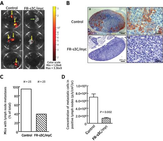 Full-Length Semaphorin-3C Is an Inhibitor of Tumor Lymphangiogenesis ...
