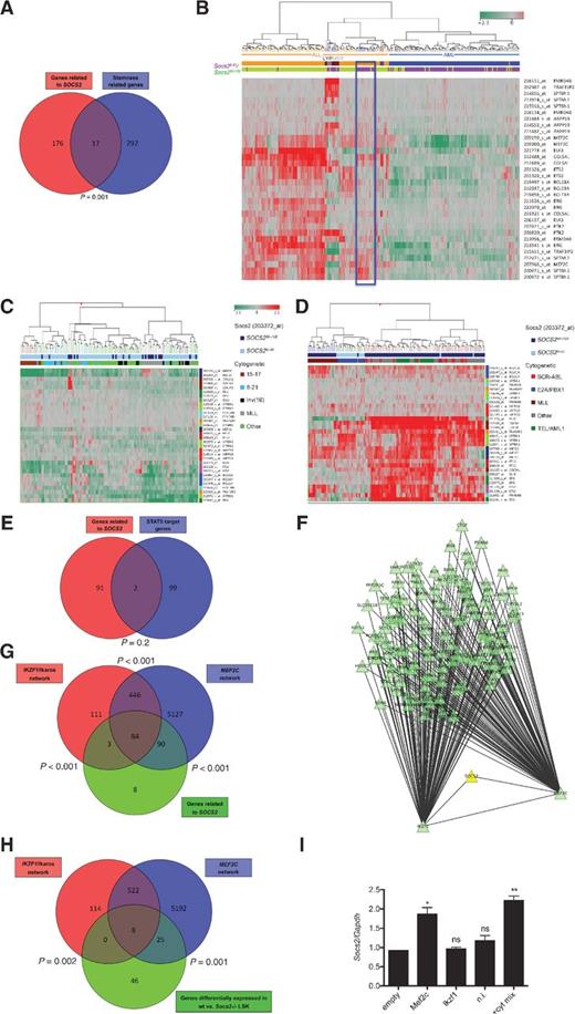 SOCS2 Controls Proliferation and Stemness of Hematopoietic Cells under ...