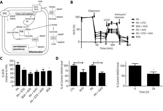 Targeting Mitochondria with Avocatin B Induces Selective Leukemia Cell ...