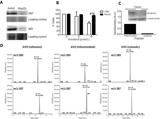 Targeting Mitochondria with Avocatin B Induces Selective Leukemia Cell ...