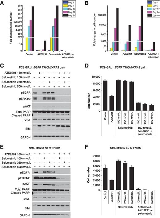 Acquired Resistance to the Mutant-Selective EGFR Inhibitor AZD9291 Is ...