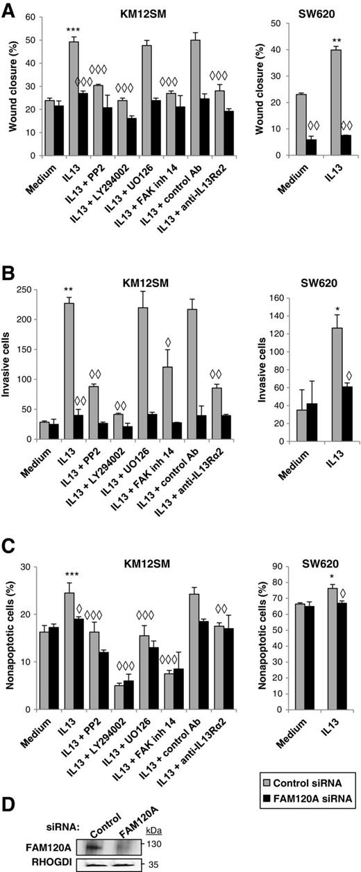 IL13 Receptor α2 Signaling Requires a Scaffold Protein, FAM120A, to ...