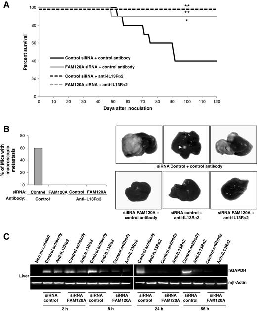 IL13 Receptor α2 Signaling Requires a Scaffold Protein, FAM120A, to ...