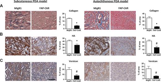 Tumor-Promoting Desmoplasia Is Disrupted by Depleting FAP-Expressing ...