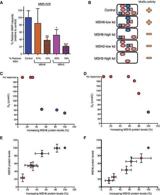 Minor Changes in Expression of the Mismatch Repair Protein MSH2 Exert a ...