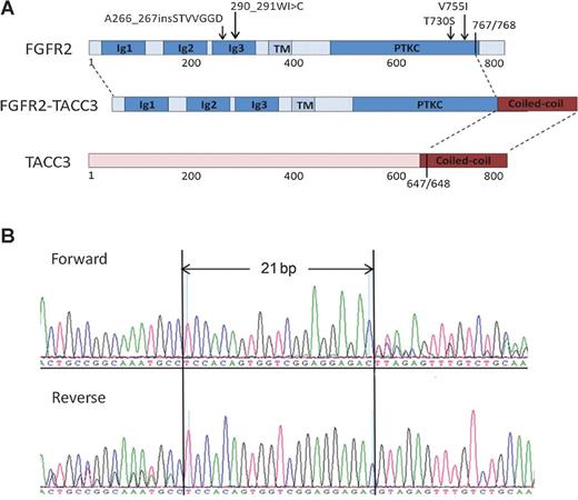 Identification of Oncogenic and Drug-Sensitizing Mutations in the ...