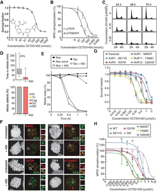Naturally Occurring Mutations in the MPS1 Gene Predispose Cells to ...