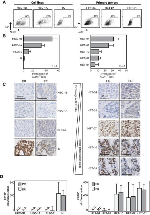 IL6/JAK1/STAT3 Signaling Blockade in Endometrial Cancer Affects the ...