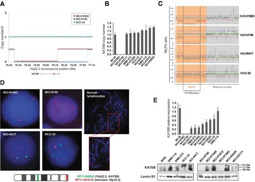 KAT6B Is a Tumor Suppressor Histone H3 Lysine 23 Acetyltransferase ...