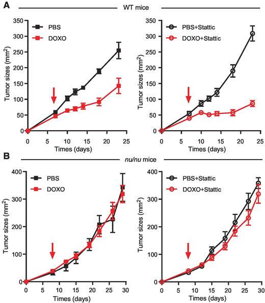 STAT3 Inhibition Enhances the Therapeutic Efficacy of Immunogenic ...