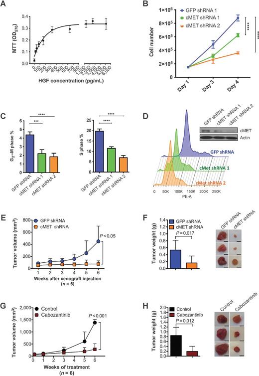 Hepatocyte Growth Factor/cMET Pathway Activation Enhances Cancer ...